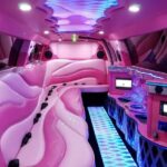 Fredericksburg Private Wine Tour Volkswagen Limo - The Vehicle: Style and Comfort