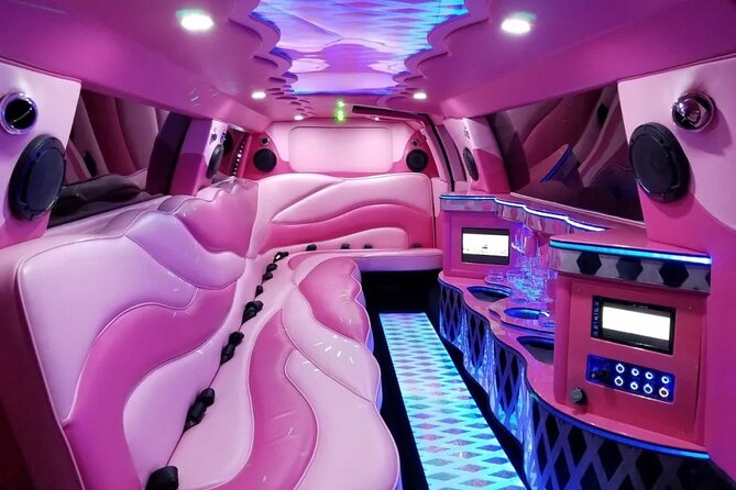 Fredericksburg Private Wine Tour Volkswagen Limo - The Vehicle: Style and Comfort