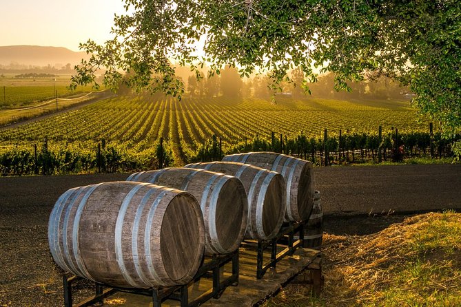 Fredericksburg Wine Tour with Three Winery Stops Plus Lunch - Fredericksburg Wine Tour with Three Winery Stops Plus Lunch: A Balanced Look at an Enjoyable Day in Texas Hill Country