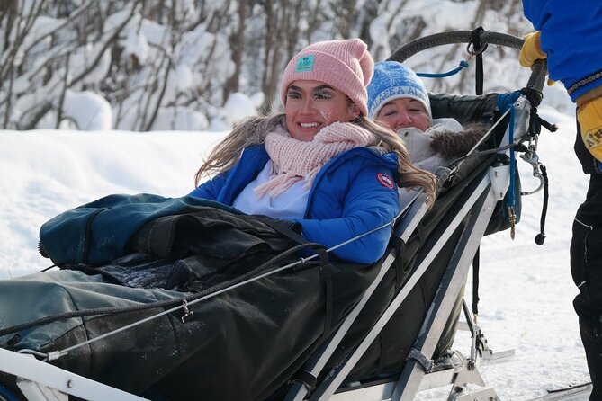 Free Pickup/Drop off: Alaskan Husky Dog Sledding with Free Photo - Who Will Love This Tour?