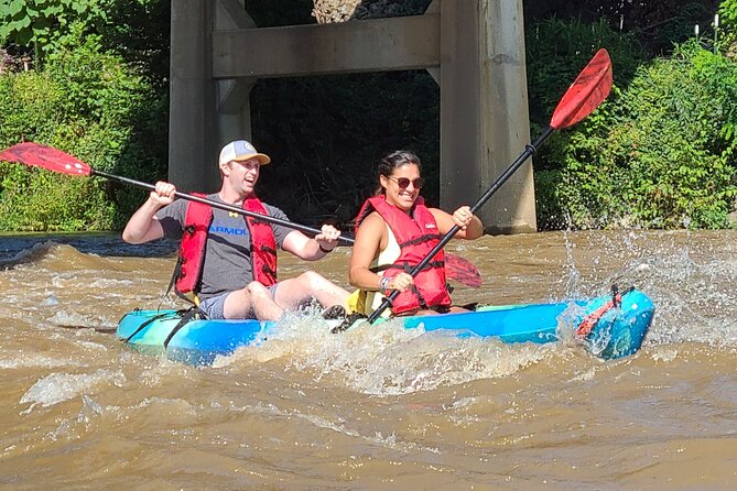 French Broad River Kayak Tour in Asheville - Key Points