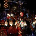 French Christmas Tour in Brooklyn - Who Will Love This Tour?