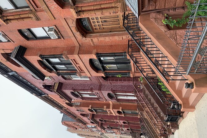 French Tour of the Bronx - An In-Depth Look at the French Tour of the Bronx