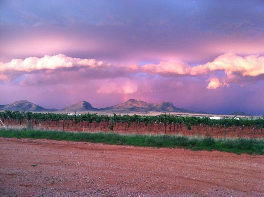 Friday: Tombstone & Bisbee; 9h Tour bus from Tucson - Who Should Consider This Tour?