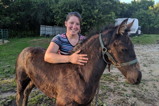 Friesian Herd Tours, Workshops, Classes and Retreats in the Kettle Moraine area. - FAQs