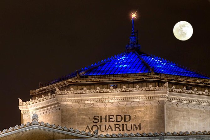 Fright Hike: Chicago Halloween Bike Tour - Authentic Voices: What Reviewers Say  