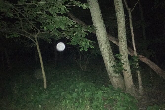 Fright Night Investigation - Small Group Gettysburg - What’s Included and What to Expect