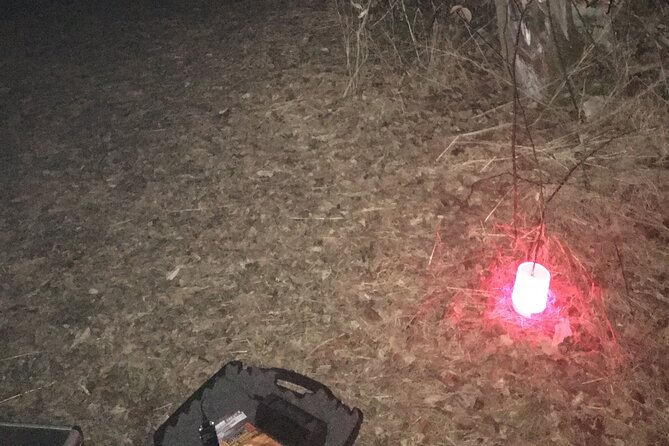 Fright Night Investigation - Small Group Gettysburg - Value for Money