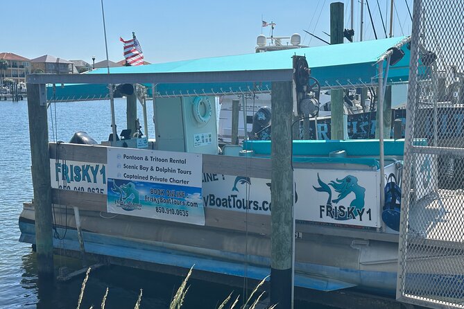 Frisky Mermaid Dolphin Tour + Secluded Beach + Equip - The Sum Up