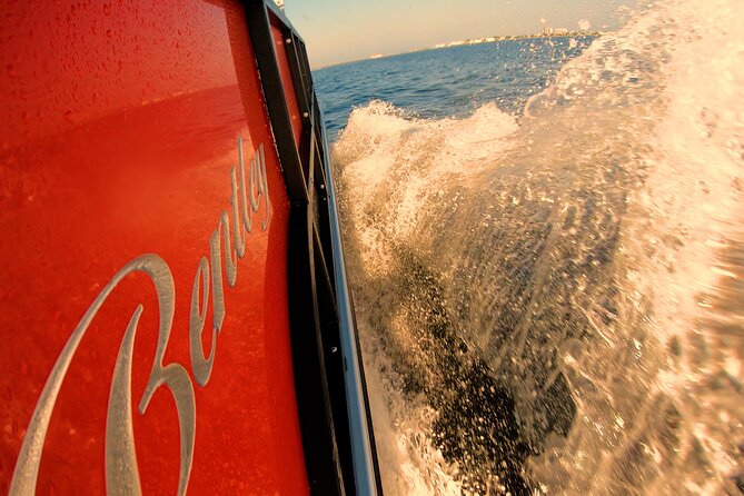 Frisky Mermaid Pontoon Boat Rentals in Pensacola Beach - FAQs