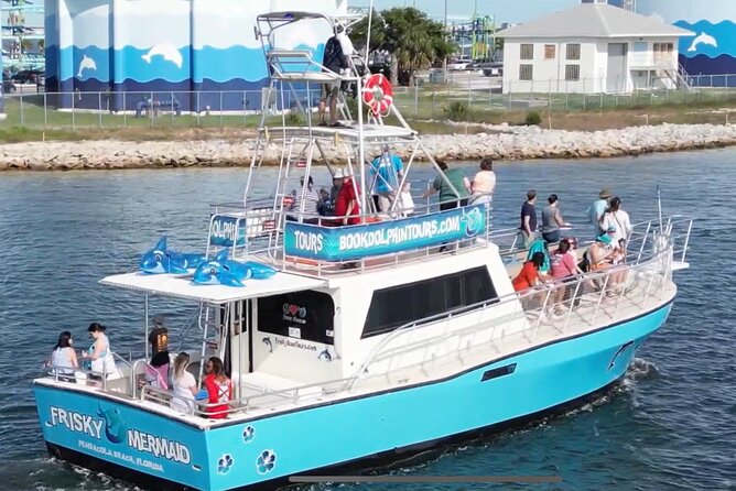 Frisky Mermaid Public Dolphin + Sightseeing Cruise Up to 49 Pax - An Authentic Coastal Experience with the Frisky Mermaid