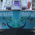 Frisky Mermaid Public Dolphin + Sightseeing Cruise Up to 49 Pax - What to Expect from the Itinerary