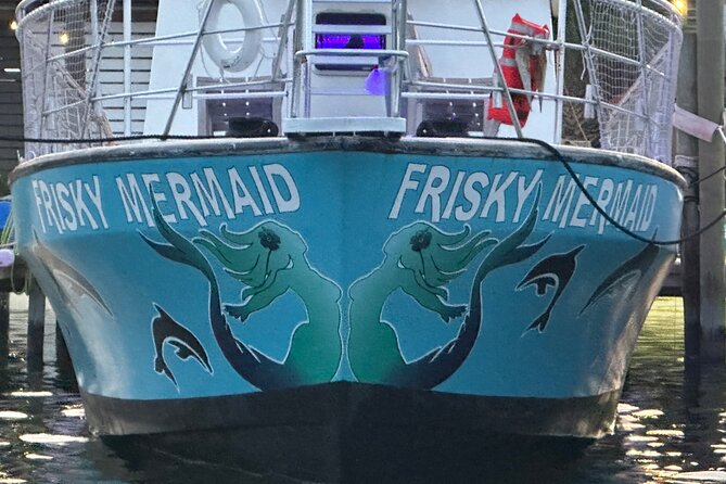 Frisky Mermaid Public Dolphin + Sightseeing Cruise Up to 49 Pax - What to Expect from the Itinerary