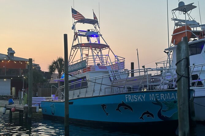 Frisky Mermaid Public Dolphin + Sightseeing Cruise Up to 49 Pax - Who Should Consider This Tour?