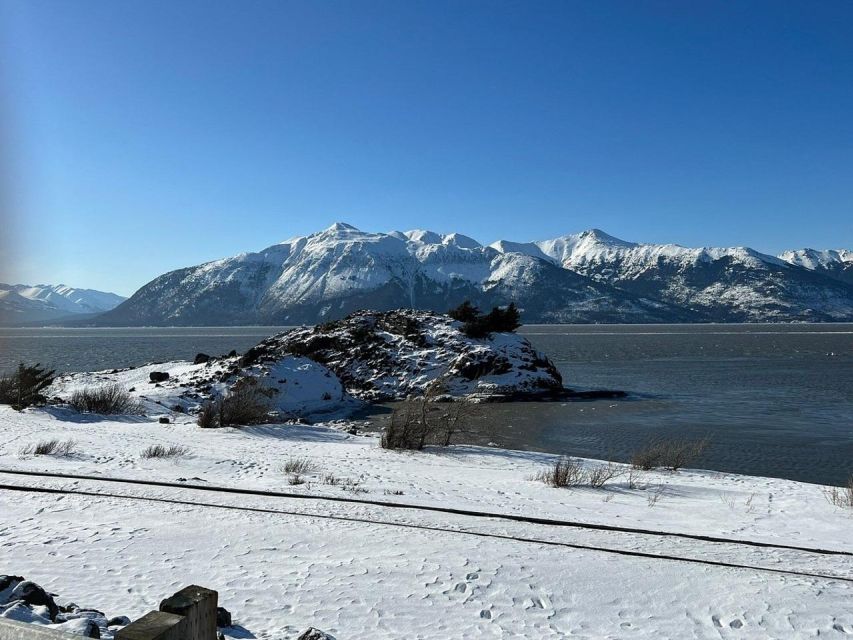 From Anchorage: Alaska Wildlife Center & Turnagain Arm Tour - The Sum Up: Is This Tour Worth It?