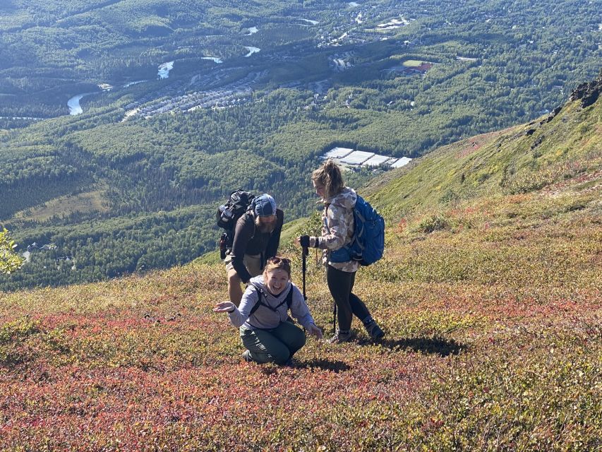 From Anchorage: Chugach State Park Guided Alpine Trek - Key Points