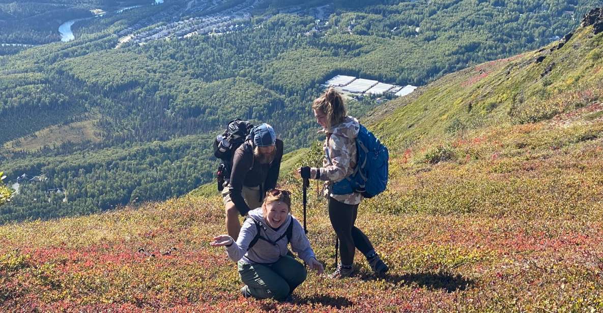 From Anchorage: Chugach State Park Guided Alpine Trek - An Overview of the Chugach State Park Guided Alpine Trek