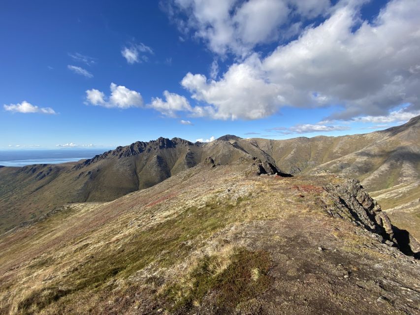 From Anchorage: Chugach State Park Guided Alpine Trek - Why This Tour Stands Out