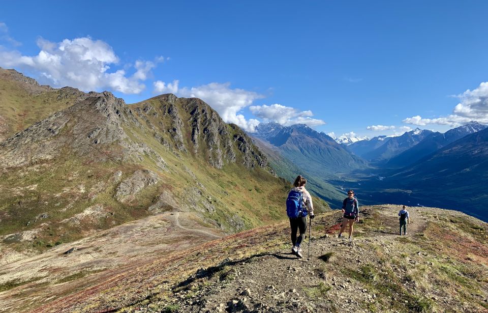 From Anchorage: Chugach State Park Guided Alpine Trek - Pricing and Value