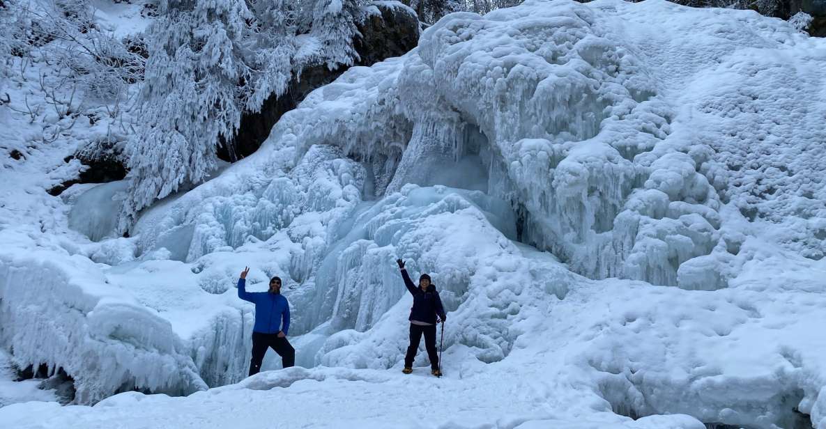 From Anchorage: Chugach State Park Winter Walking Tour - Flora and Fauna: Learning in the Boreal Forest