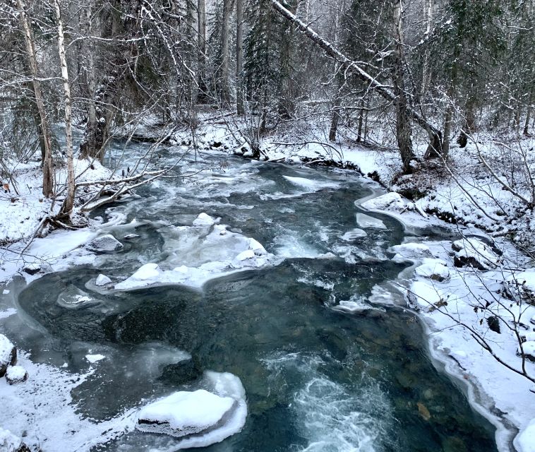 From Anchorage: Chugach State Park Winter Walking Tour - What Makes This Tour Special?