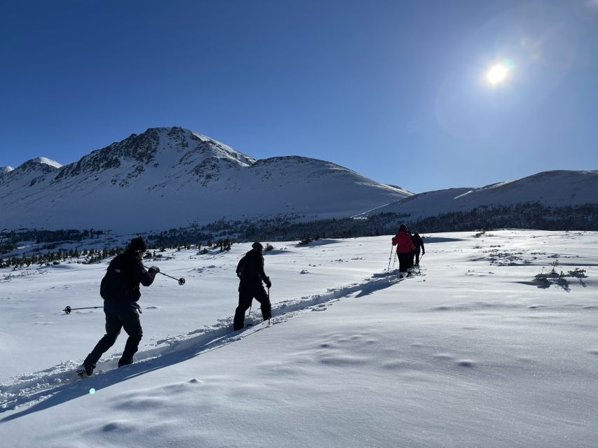 From Anchorage: Glen Alps Beginner's Snowshoeing Adventure - Detailed Breakdown of the Experience