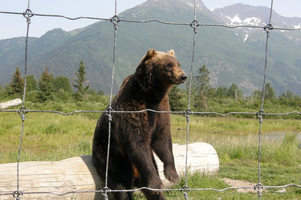 From Anchorage: Portage Glacier and Wildlife Full-Day Tour - Frequently Asked Questions (FAQ)