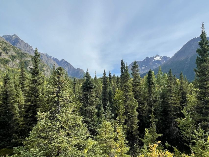 From Anchorage: Valley and Forest Hike with Naturalist Guide - A Detailed Look at the Anchorage Valley and Forest Hike