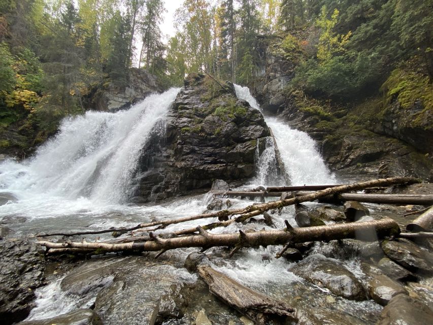 From Anchorage: Valley and Forest Hike with Naturalist Guide - Who Will Love This Tour?