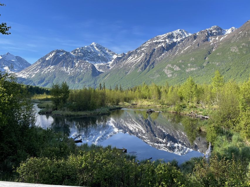 From Anchorage: Valley and Forest Hike with Naturalist Guide - Final Thoughts: Is It Worth It?