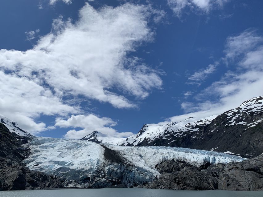 From Anchorage: Valley of Glaciers & Wildlife Center Tour - Key Points