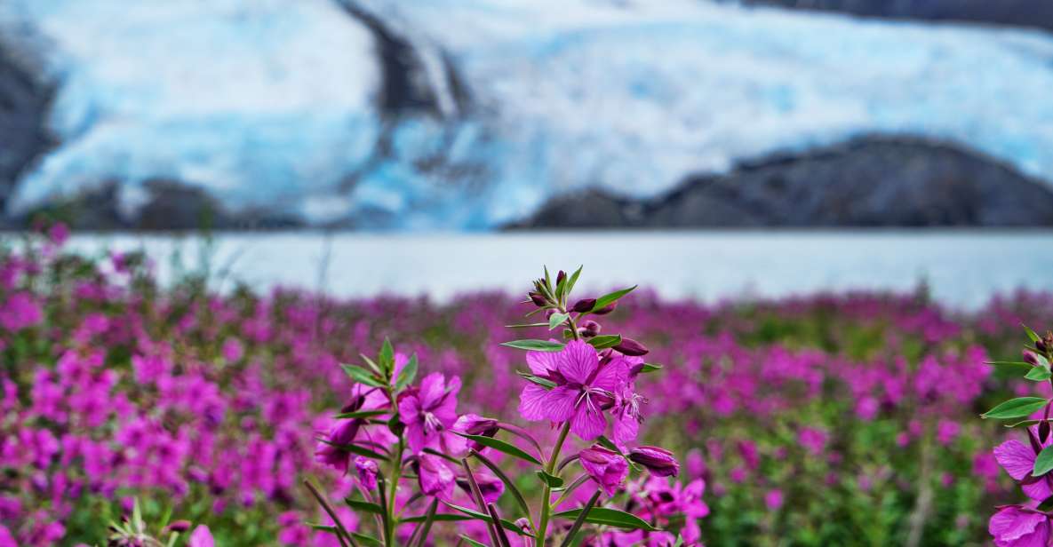 From Anchorage: Valley of Glaciers & Wildlife Center Tour - Practical Tips for Visitors