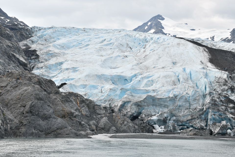 From Anchorage: Valley of Glaciers & Wildlife Center Tour - Final Thoughts: Is This Tour Right for You?