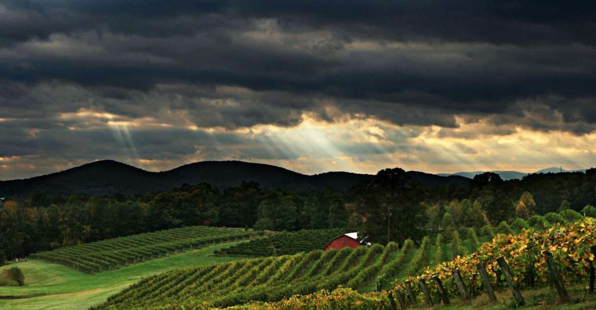 From Atlanta: North Georgia Wine Country Tour - What Makes This Tour Stand Out