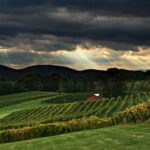From Atlanta: North Georgia Wine Country Tour - Authentic Insights from Past Travelers