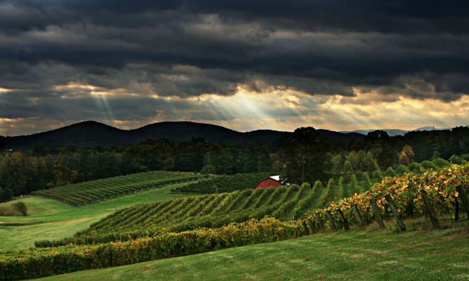 From Atlanta: North Georgia Wine Country Tour - Authentic Insights from Past Travelers