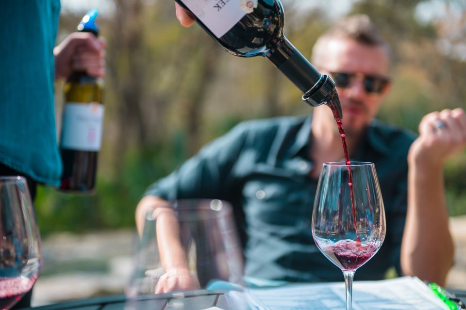 From Austin: Half-Day Hill Country Wine Shuttle - Final Thoughts