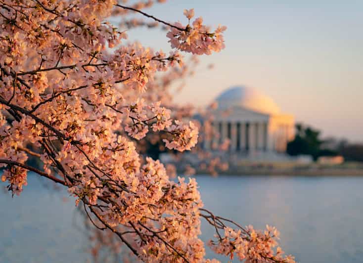 From Boston: 4-Day Tour to New York, D.C.&Niagara Falls - Transportation and Comfort