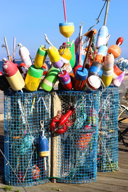 From Boston: Cape Cod and Plymouth Day Tour - Final Thoughts: Who Will Love This Tour?  