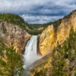 From Bozeman: Yellowstone Day Tour (Lower Loop) - What Makes This Tour Stand Out