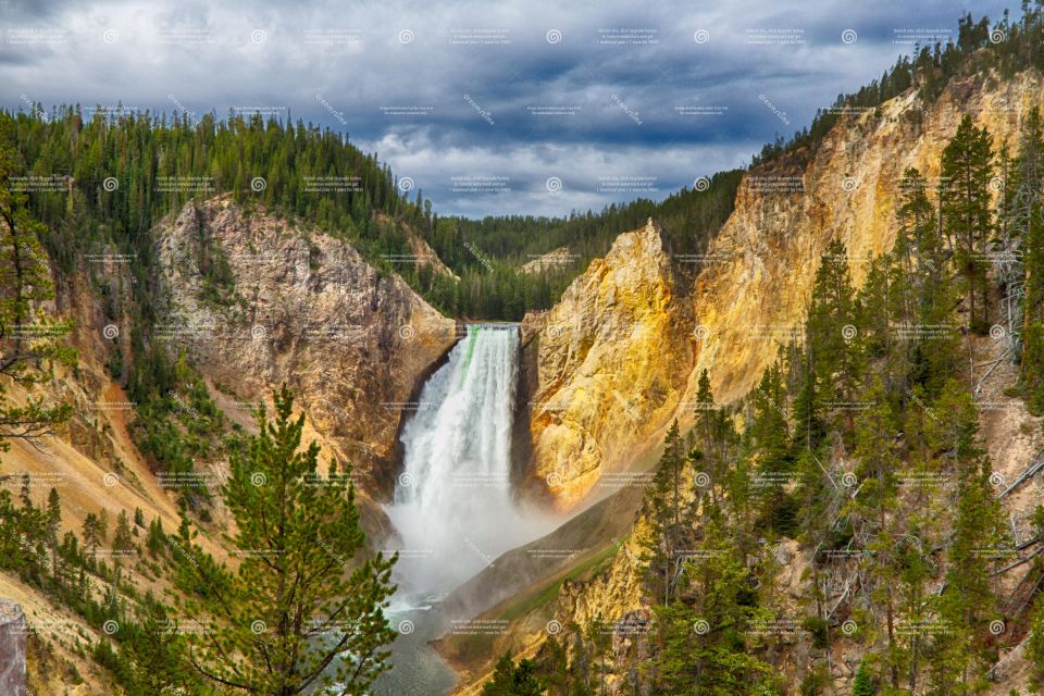 From Bozeman: Yellowstone Day Tour (Lower Loop) - What Makes This Tour Stand Out