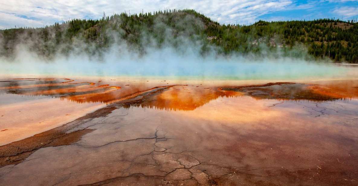 From Bozeman: Yellowstone Day Tour (Lower Loop) - Considering the Price and Overall Value