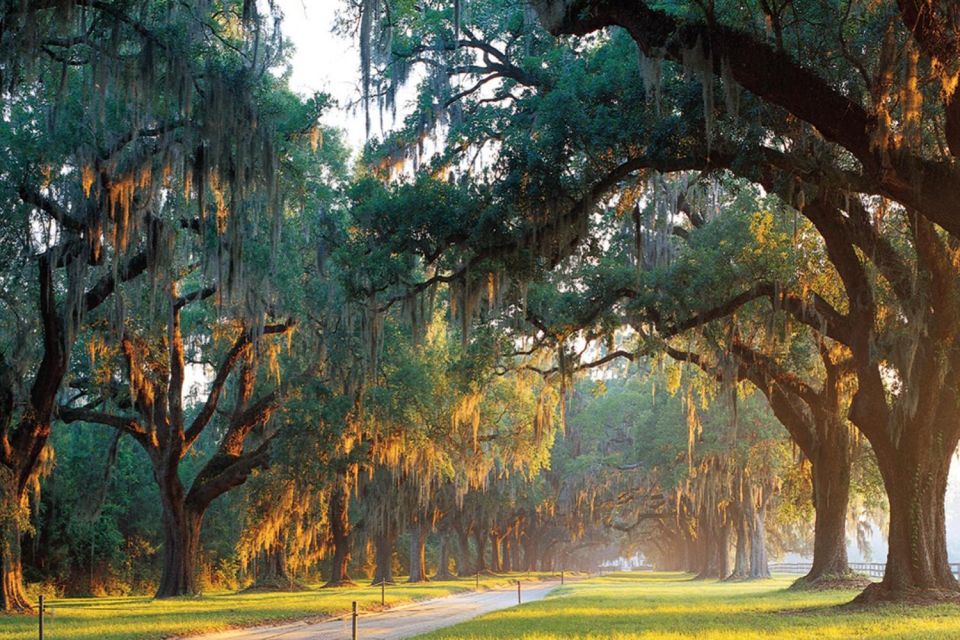 From Charleston: Boone Hall Plantation Entry with Transfers - Highlights of the Tour