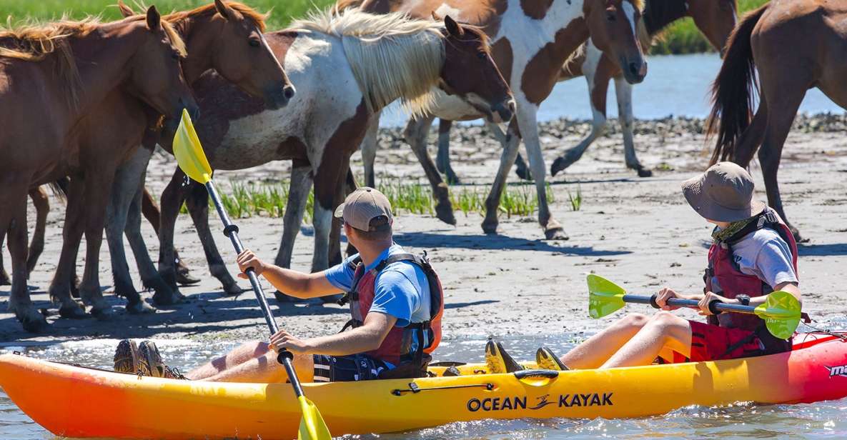 From Chincoteague: Guided Kayak Tour to Assateague Island - Key Points