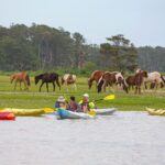 From Chincoteague: Guided Kayak Tour to Assateague Island - In-Depth Review