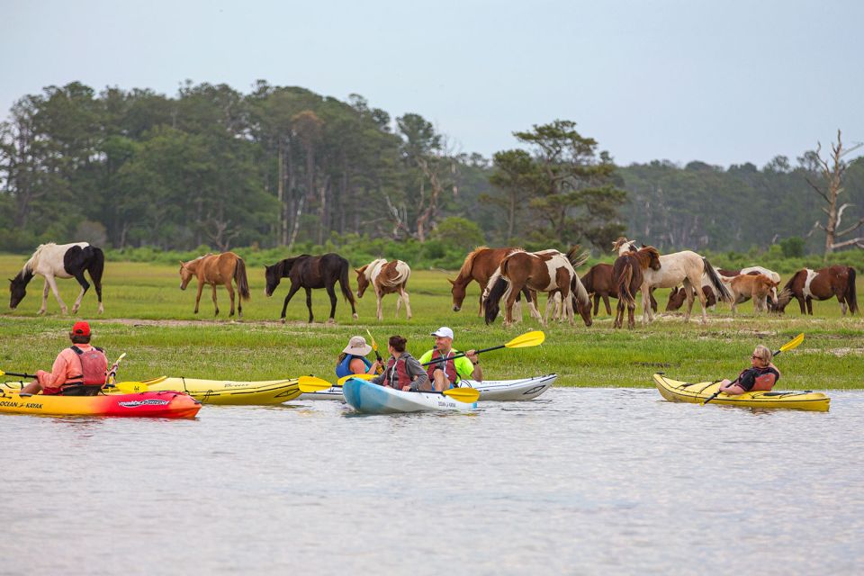 From Chincoteague: Guided Kayak Tour to Assateague Island - In-Depth Review