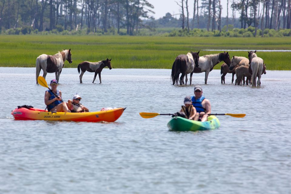 From Chincoteague: Guided Kayak Tour to Assateague Island - Final Thoughts