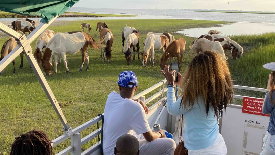 From Chincoteague Island: Assateague Island Boat Tour - The Value of This Experience