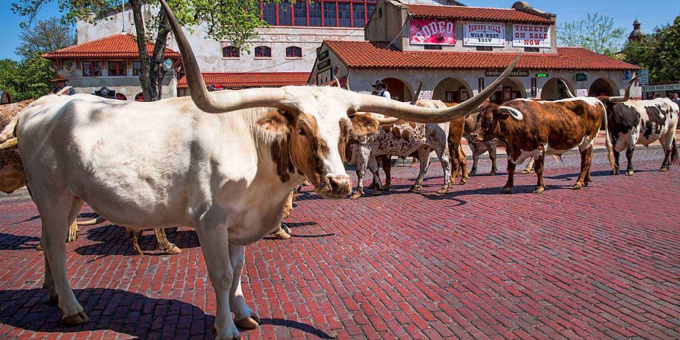 From Dallas: Fort Worth Guided Day Tour - Key Points
