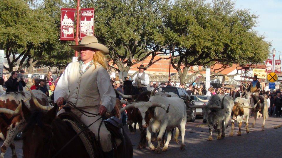 From Dallas: Fort Worth Guided Day Tour - The Full Experience: What the Tour Offers
